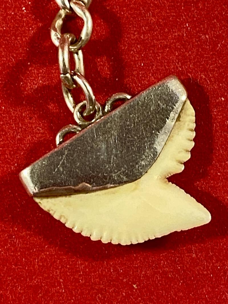 BOAS Militaria | Antique Silver Pocket Watch Chain with Shark’s Tooth ...